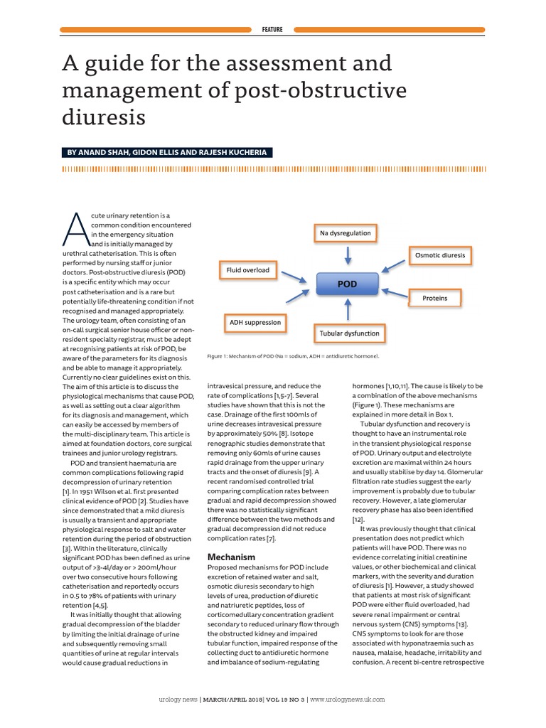A Guide For The Assessment and Management of Post-Obstructive Diuresis ...
