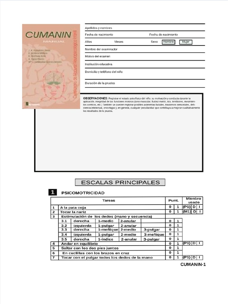 Protocolo Cumanin | PDF