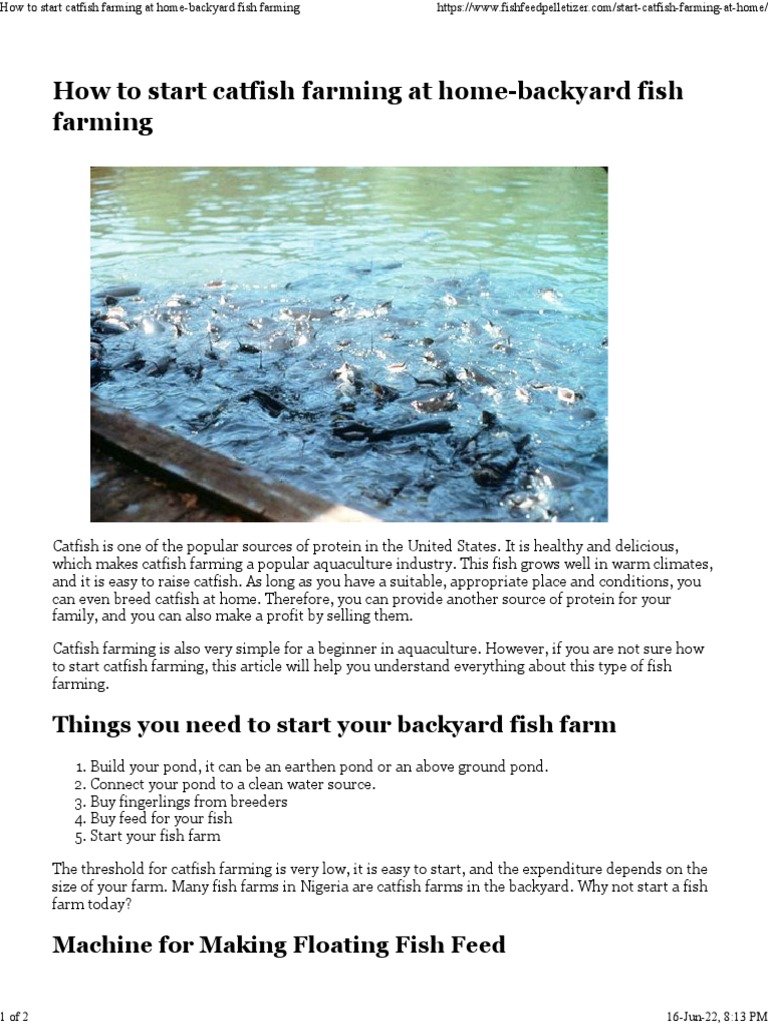 How To Start Catfish Farming at Home-Backyard Fish Farming | PDF ...