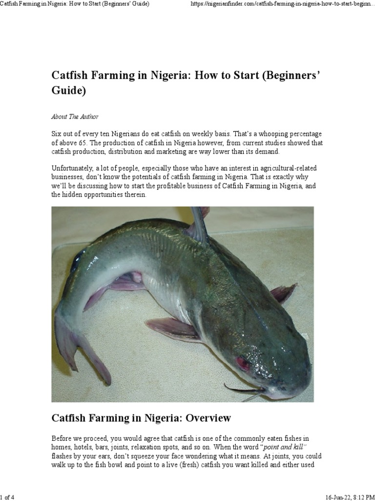 Catfish Farming in Nigeria How To Start (Beginners' Guide) | PDF ...