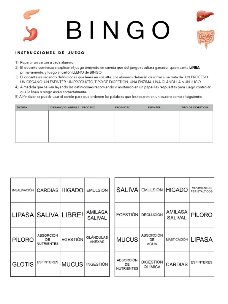 Bingo Digestivo | PDF | Digestión | Sistema digestivo