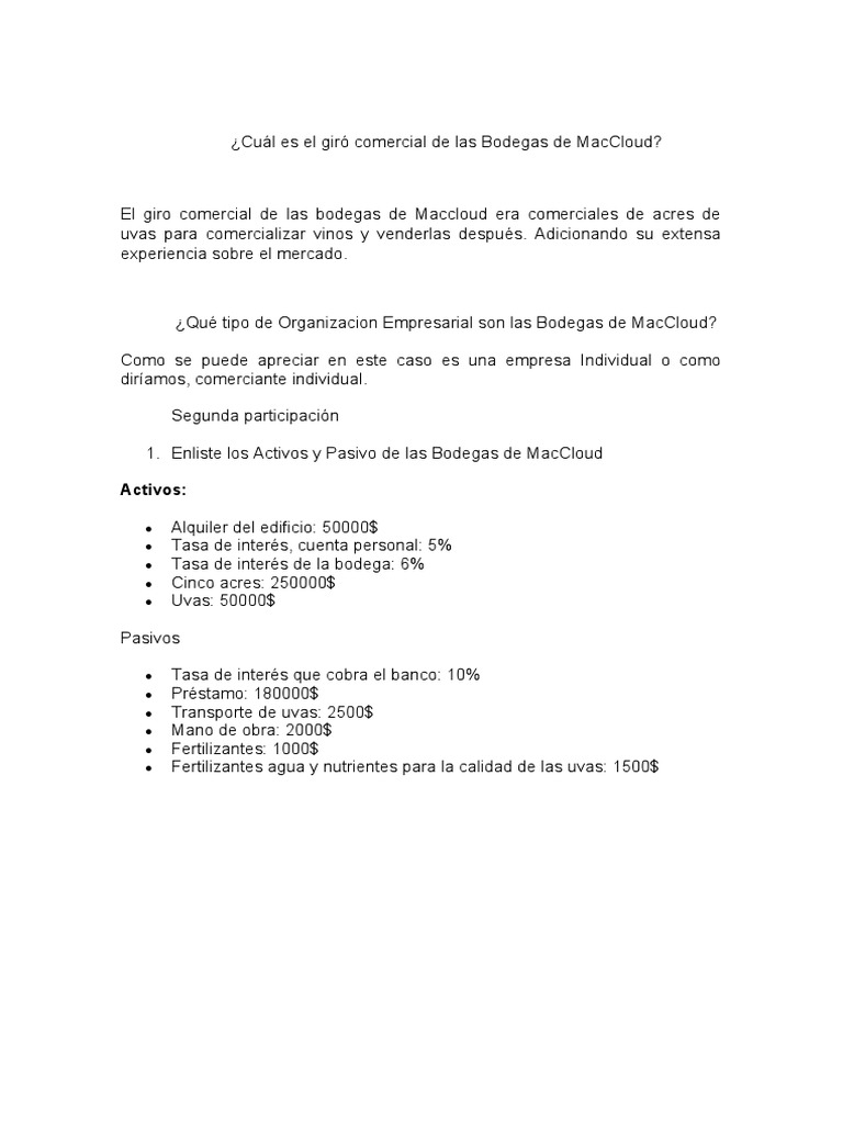 Giro Comercial y Finanzas de Bodegas MacCloud | PDF