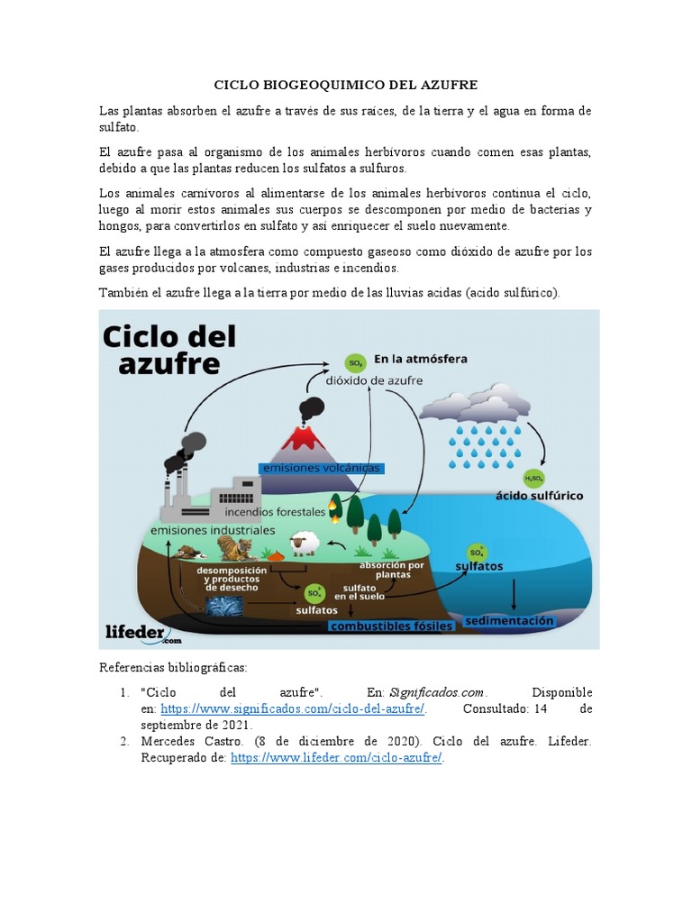 Ciclo Biogeoquimico Del Azufre | PDF