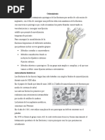 Safenectomia | PDF | Cirugía | Especialidades Medicas