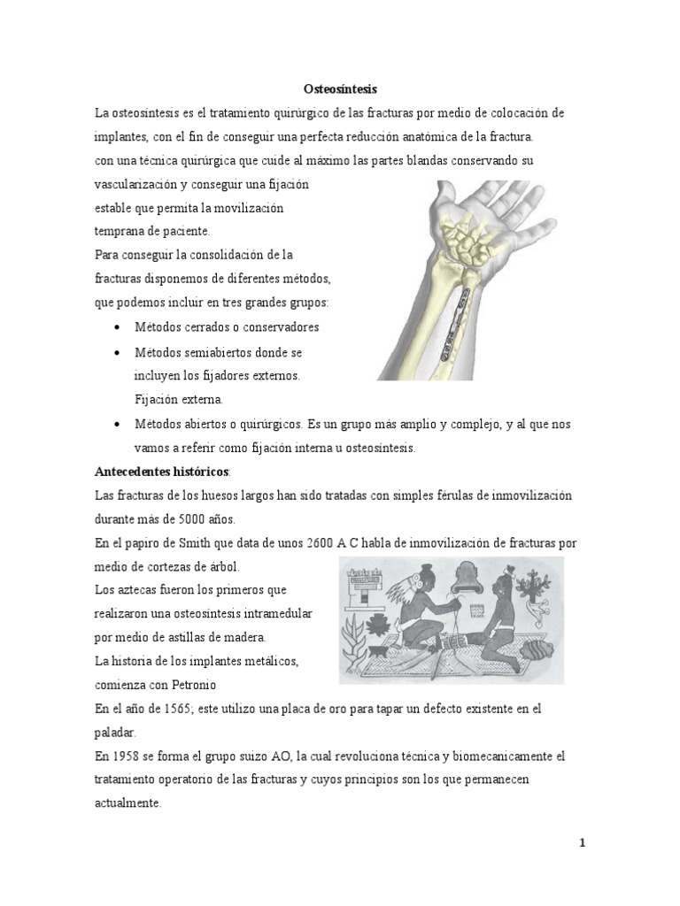 Manual QX 2 | PDF | Rodilla | Sistema musculoesquelético