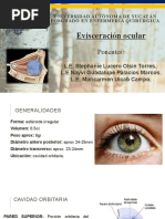 Anatomía del Ojo Canino y Tratamiento | PDF | Glaucoma | Ojo humano