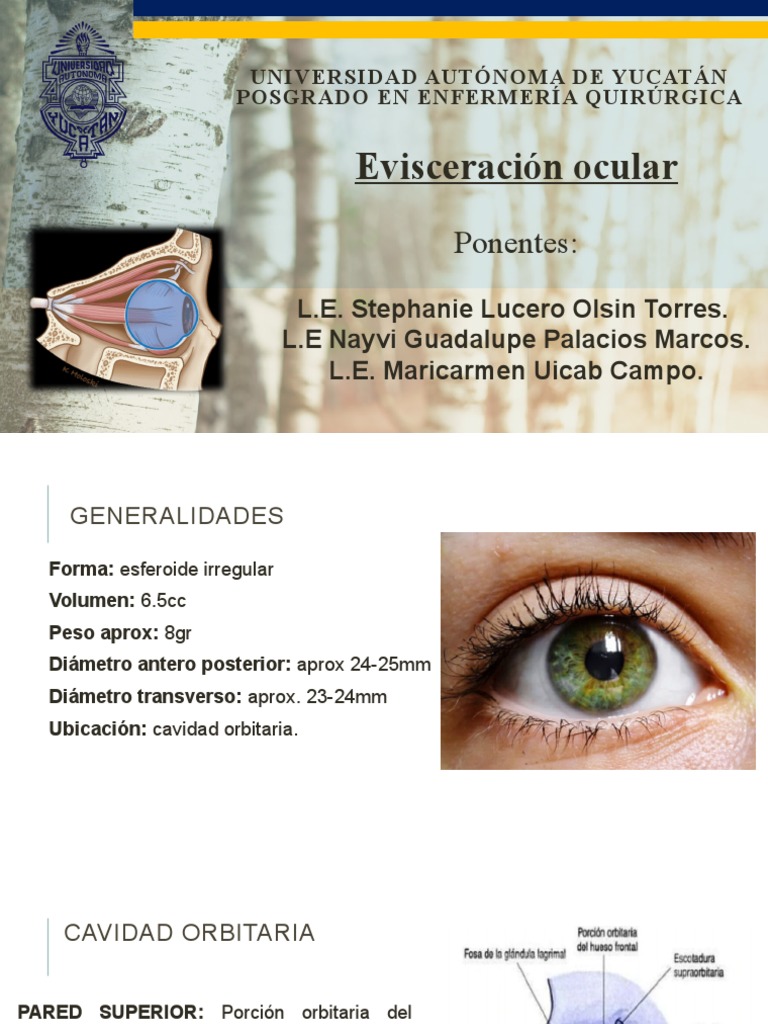 Evisceración Ocular | PDF | Ojo humano | Percepción visual