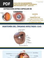 Catalogo Del Instrumental Quirúrgico de Oftalmología | PDF | Ojo ...