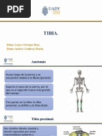 Cerclaje de Rotula 1 | PDF | Articulación | Rodilla