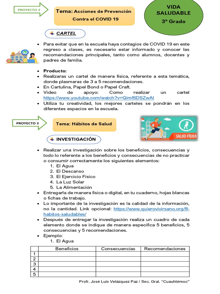 Vida Saludable Proyecto II y III | PDF