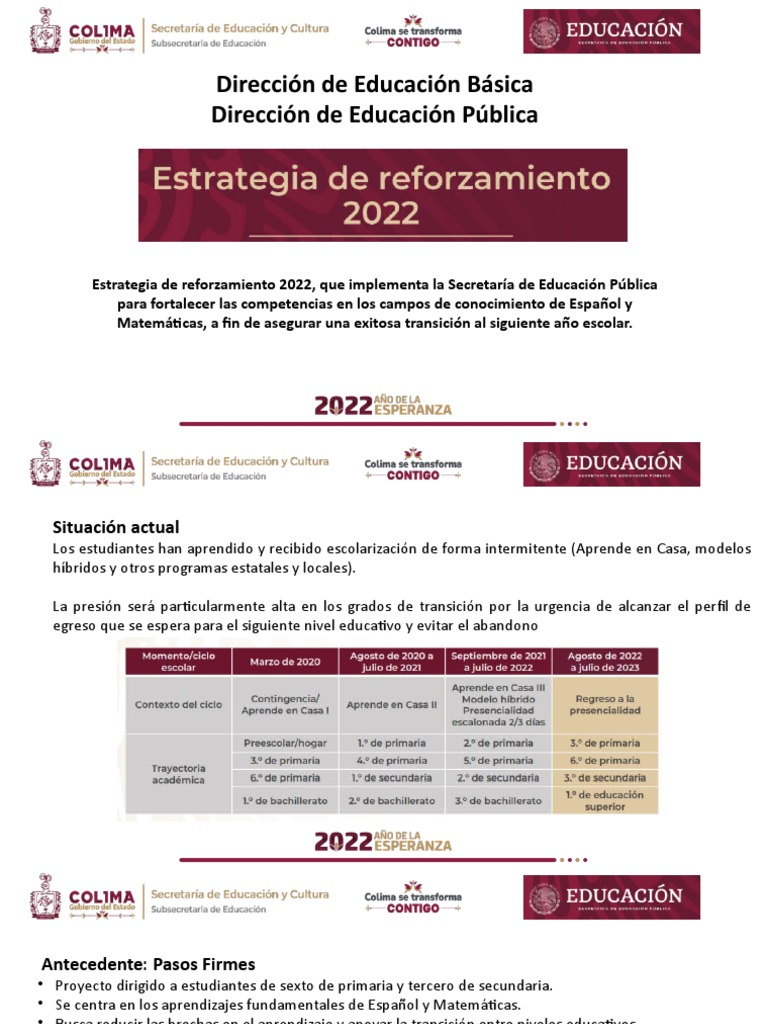 ZE32 Estrategia de Reforzamiento 2022 - 17062022 | PDF | Aprendizaje | Educación primaria