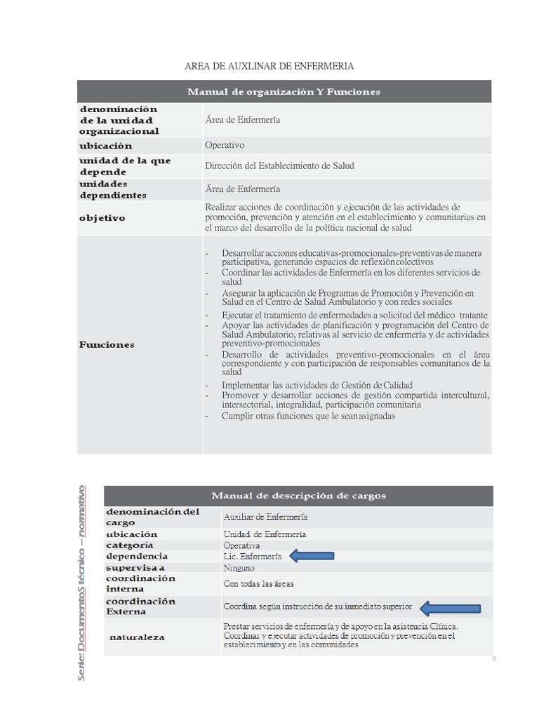 Manual de organización Y Funciones enfermeria | PDF | Enfermería | Hospital