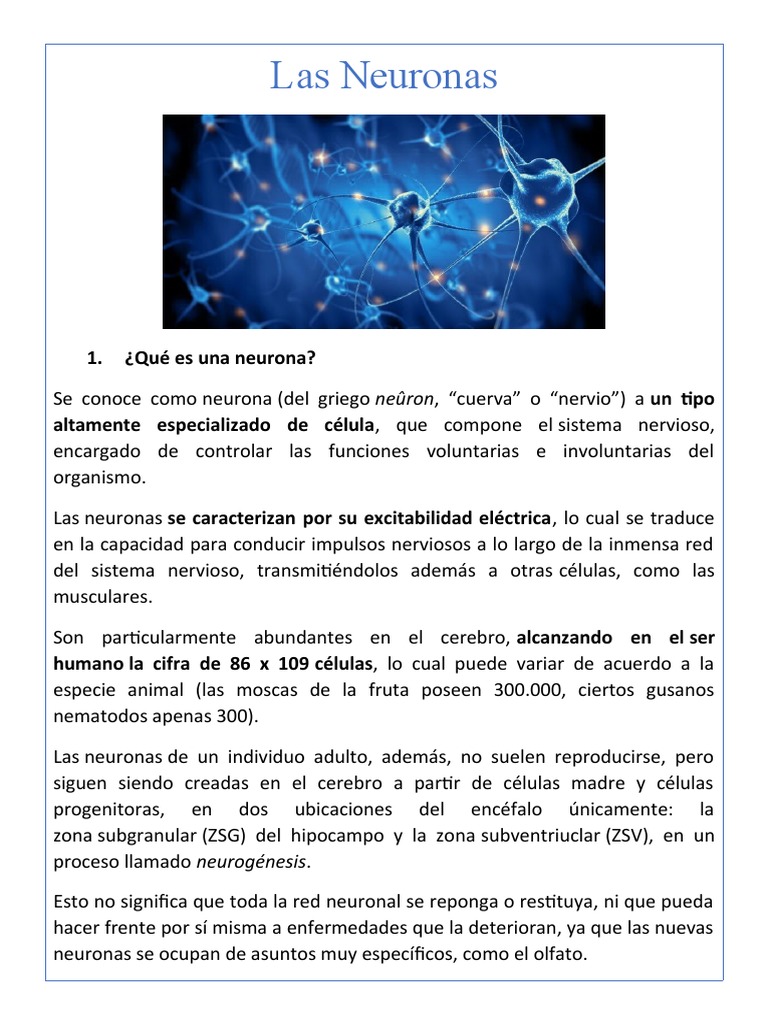 Las Neuronas | PDF | Neurona | Axon