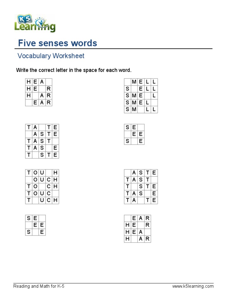 Five Senses Vocabulary Worksheet | PDF | Cognitive Science | Reading ...