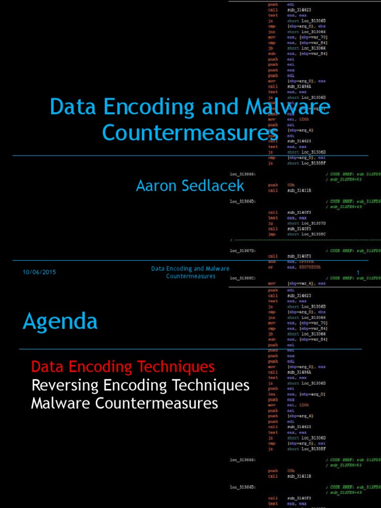 Data Encoding and Malware Countermeasures: Aaron Sedlacek | PDF | Code ...