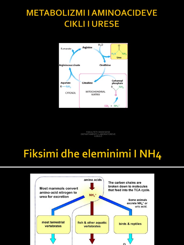 5.2 Cikli - I - Urese - 5488 | PDF