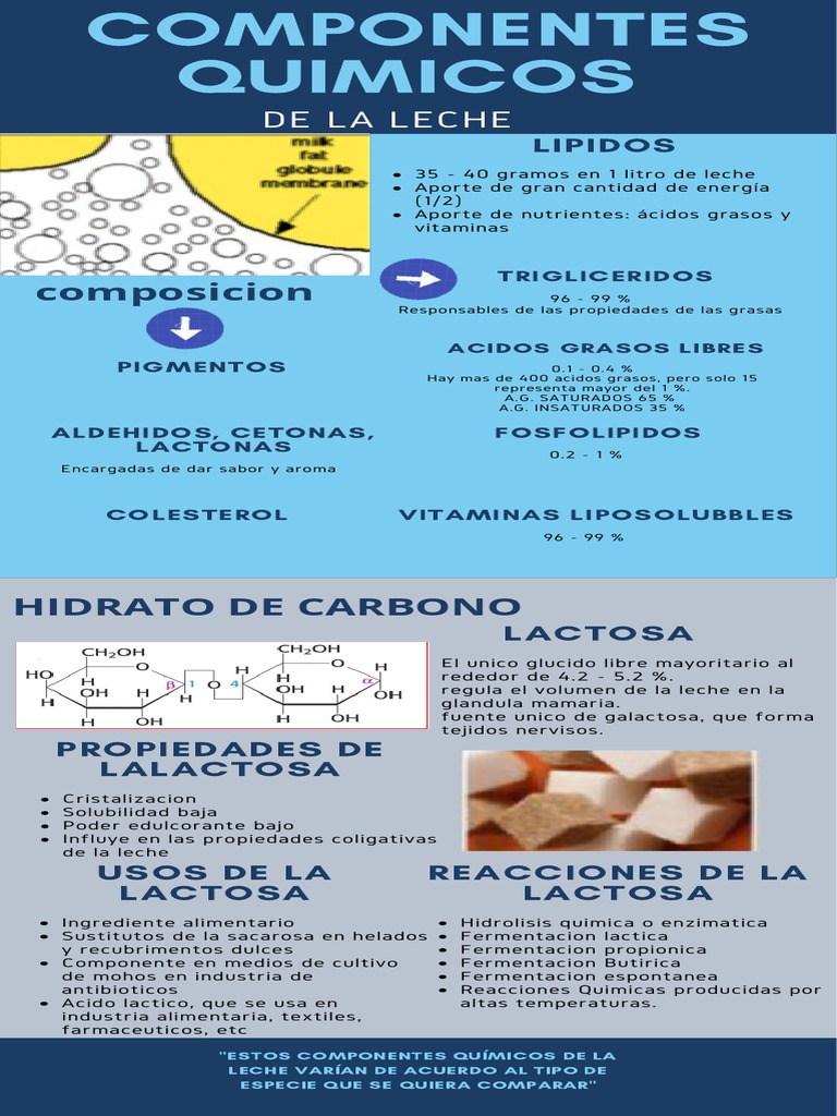 Composición Química de la Leche | PDF | Leche | Enzima