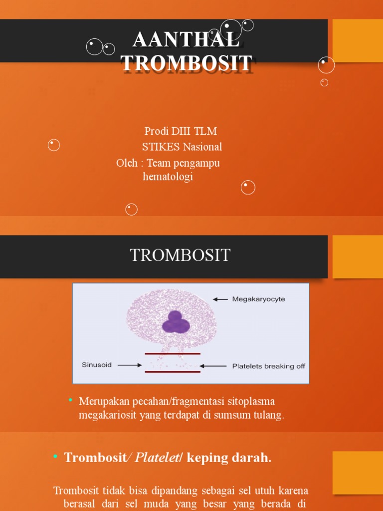 Metode Penghitungan Trombosit | PDF | Griya & Taman | Kesehatan Holistik