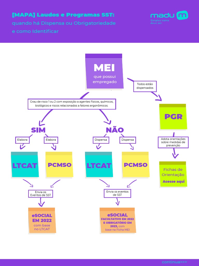 91MAPA Laudos e Programas SST | PDF