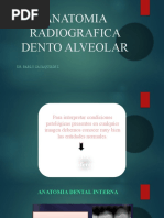 Limite Anatomicos Del Maxilar Inferior RX | PDF | Anatomia animal ...