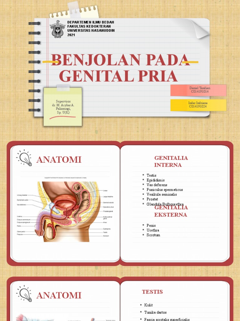 Benjolan Pada Genital Pria | PDF