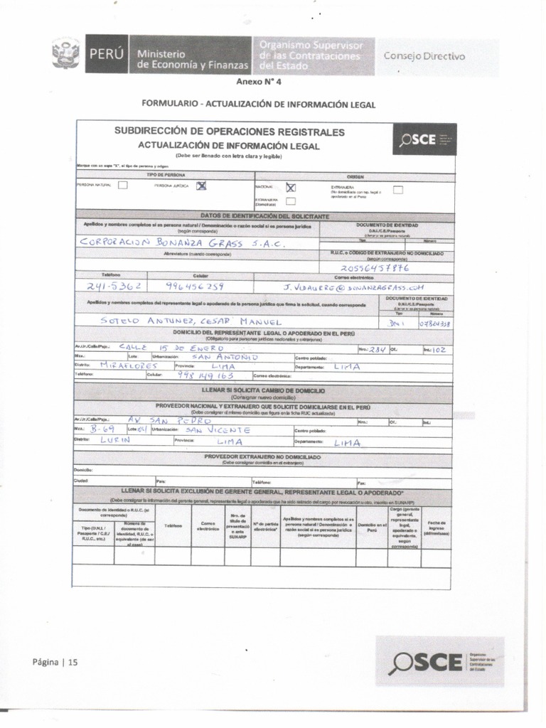 Anexo 04 - OSCE | PDF