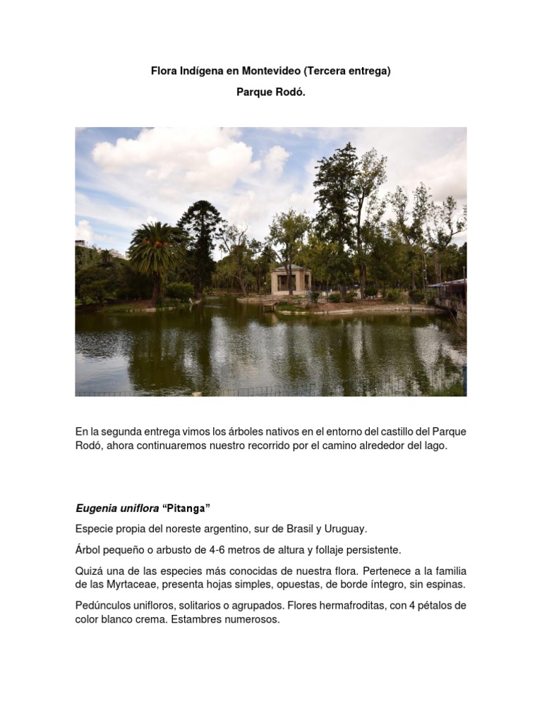 Flora Indígena de Montevideo: Especies Clave | PDF | Ficus | Hoja