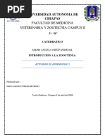 Visita Al Rastro | PDF | Carne | Matadero