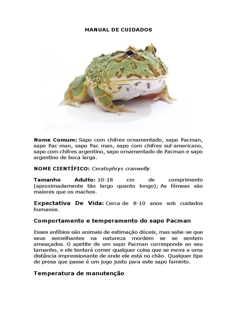 Cuidados com o sapo Pacman (Ceratophrys cranwelly): alimentação ...