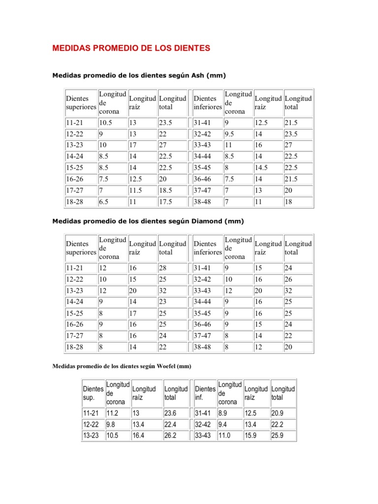 Medidas Promedio de Los Dientes | PDF