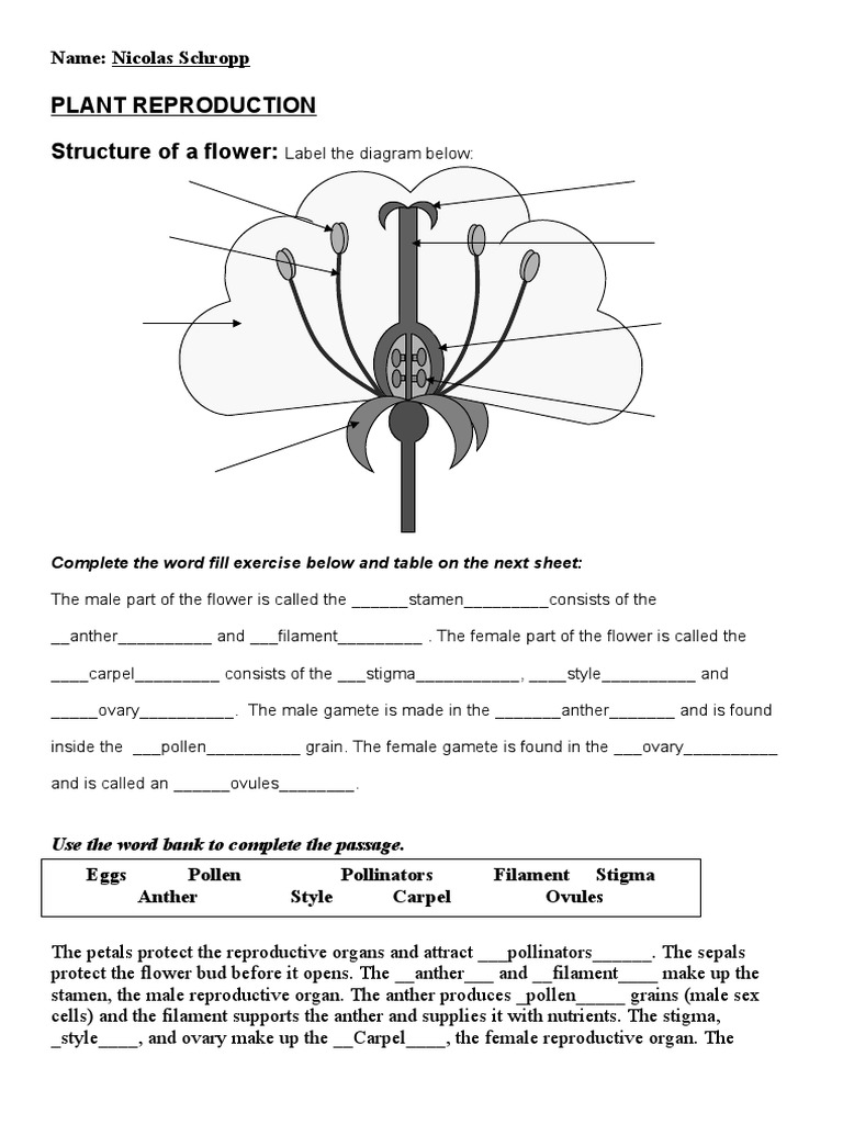Plant Reproduction Guide STR FLOWER and POLINATION | PDF | Flowers ...