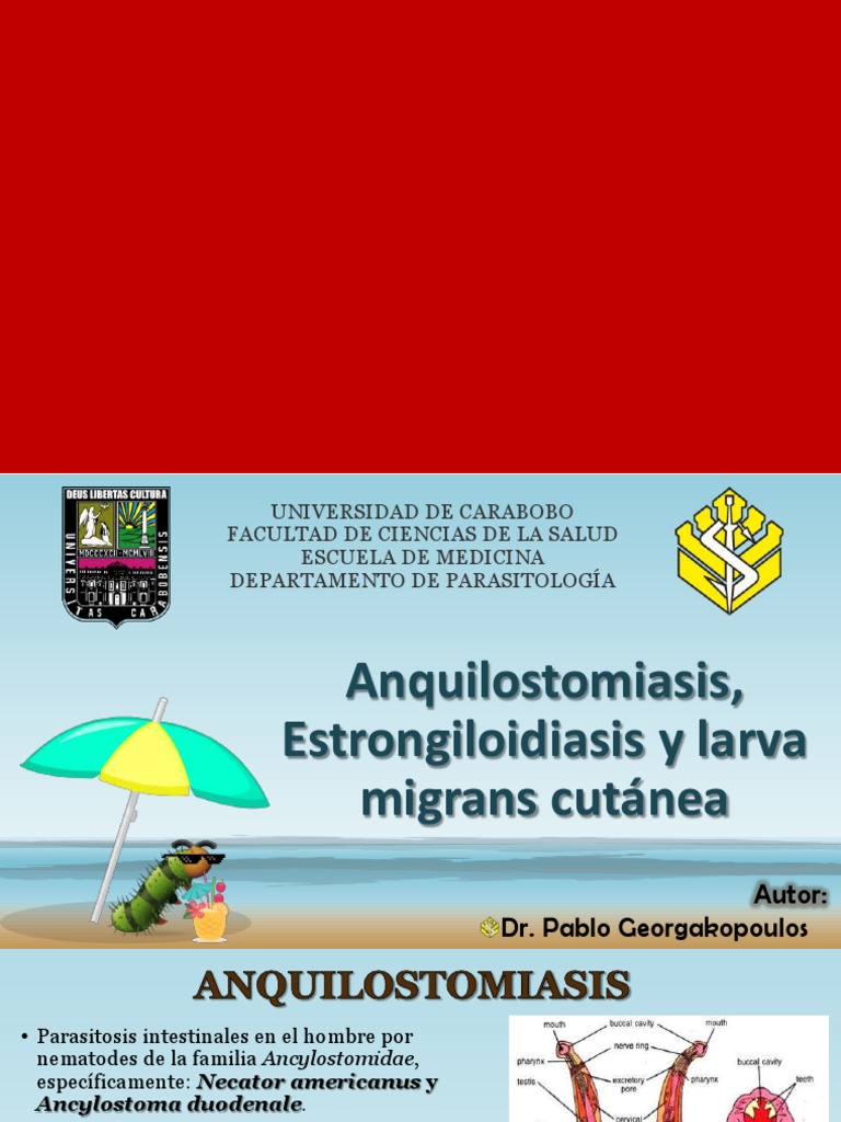 Anquilostomiasis, Estrongiloidiasis y Larva Migrans Cutanea | PDF ...