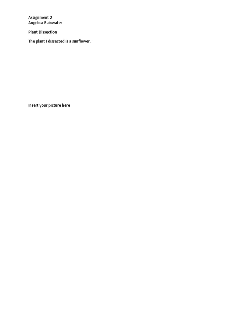 Plant Template Assignment 2 Word Document - Copy 1 | PDF