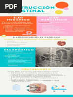 Posición de Roser o Proetz | PDF | Inflamación | Biología Celular)