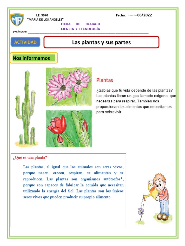 FICHA DE CIENCIA LAS PLANTAS Y SUS PARTES. | PDF | Plantas | Alimentos