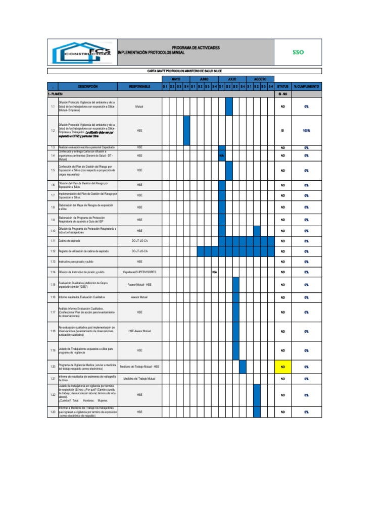 Carta Gantt Protocolos MINSAL FCS V 0 | PDF | Seguridad y salud ocupacional | Ciencias de la Salud