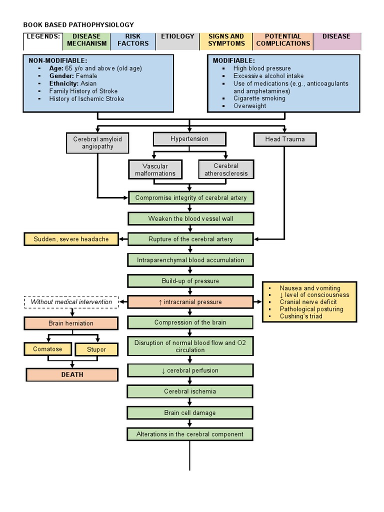 Book Based Pathophysiology - Hemorrhagic Stroke | PDF | Stroke ...