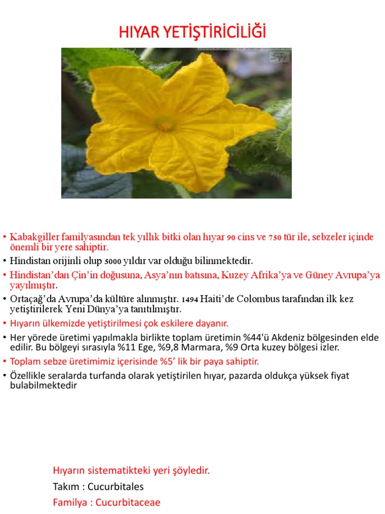 Hiyar Yeti̇şti̇ri̇ci̇li̇ği̇ | PDF