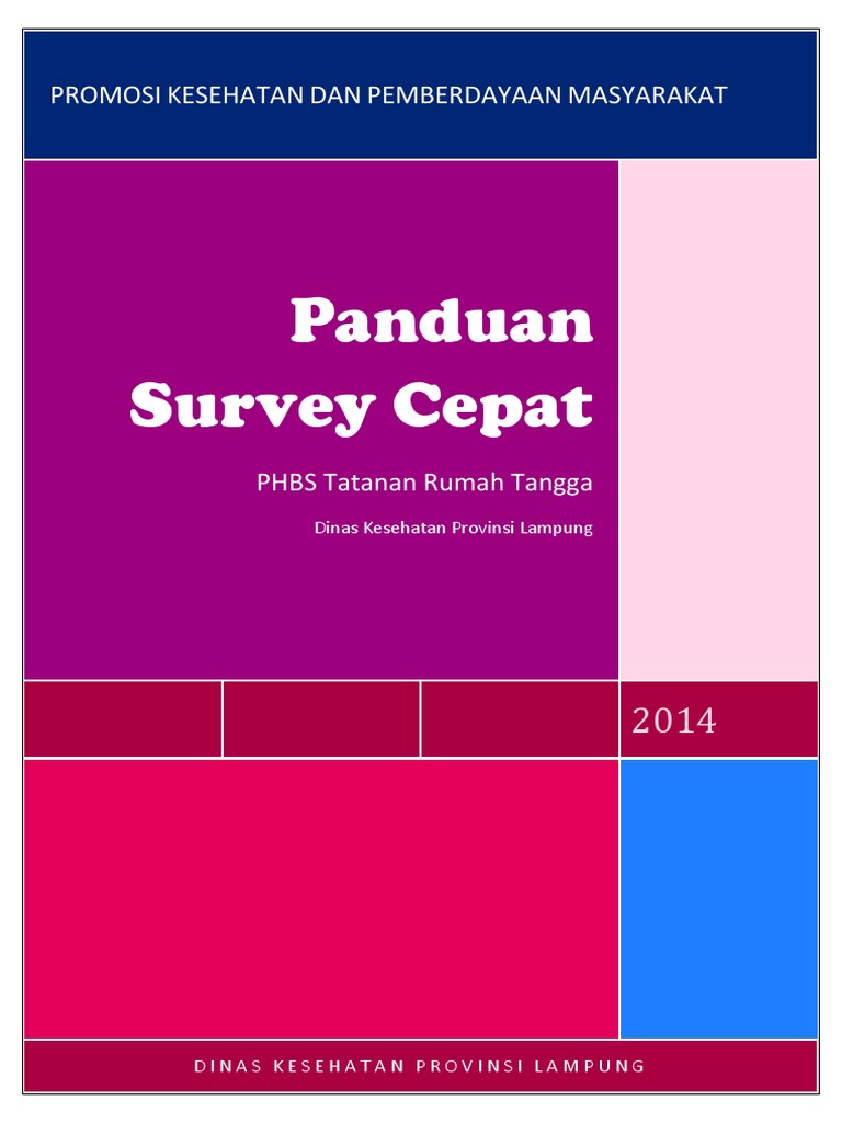 Panduan Survey PHBS | PDF