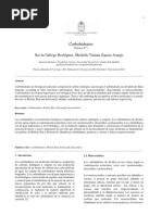 Prueba de Bial | PDF