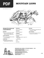 Living With MtnLions | PDF | Cougar | Lion