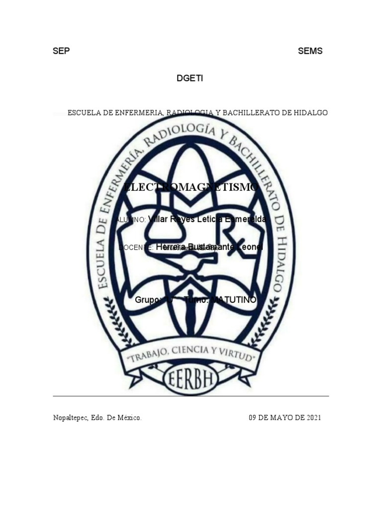 Sep Sems | PDF | Imán | Magnetismo