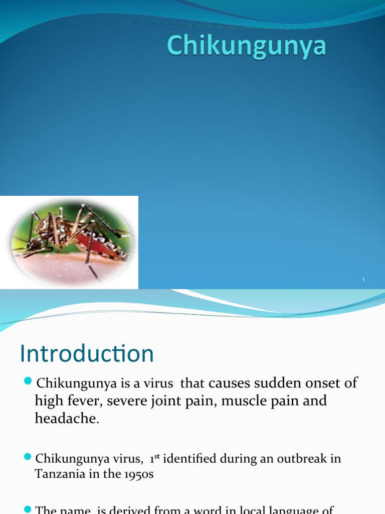 An In-Depth Look at Chikungunya Virus: Transmission, Symptoms ...