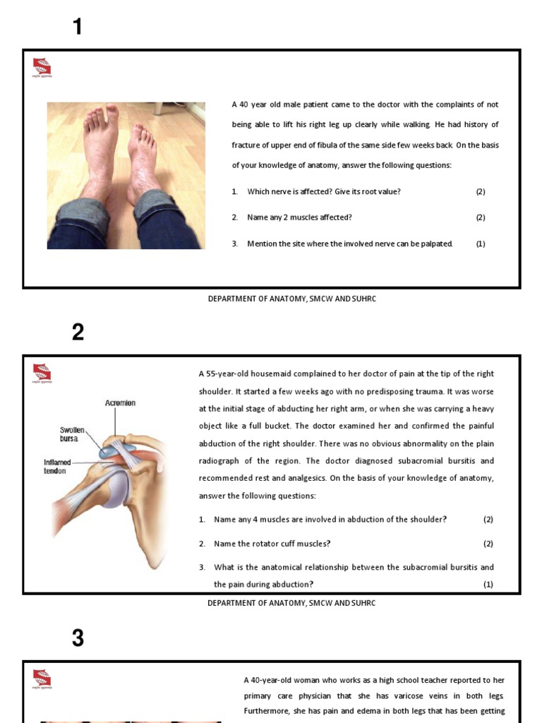 Clinical Cards | Download Free PDF | Vagina | Abdomen