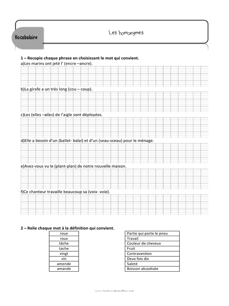 Exercices sur les homonymes en français | PDF