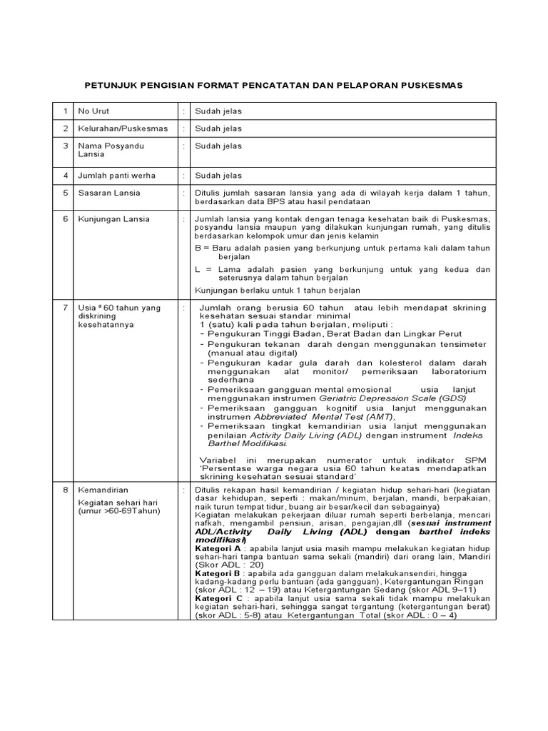 Petunjuk Pengisian Format Pencatatan Dan Pelaporan Lansia | PDF