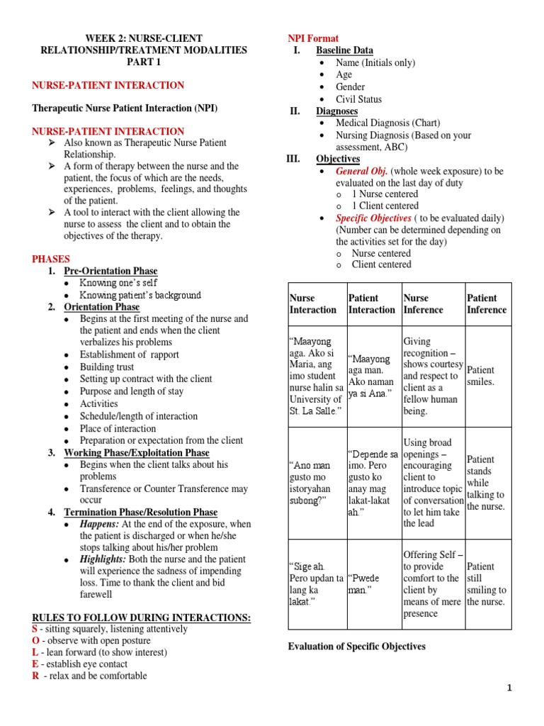 NPI Format: General Obj | PDF | Occupational Therapy | Cognition