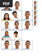 Jerry Rose Baladjay Details | PDF