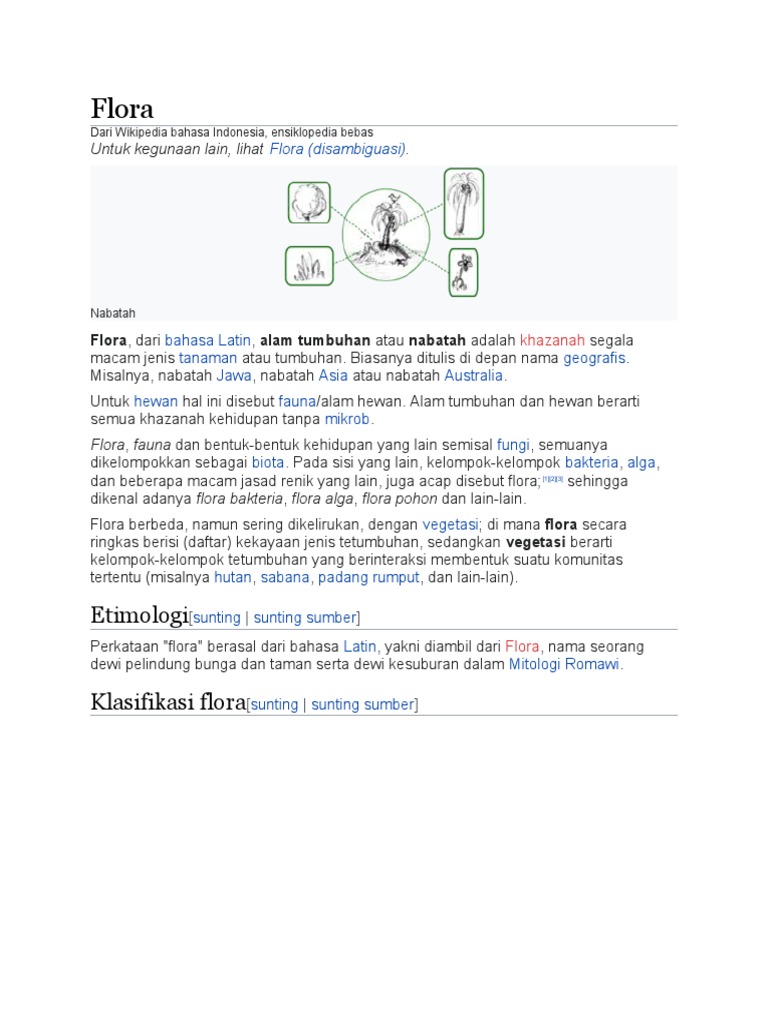 Flora | PDF | Seni & Disiplin Bahasa | Sains & Matematika