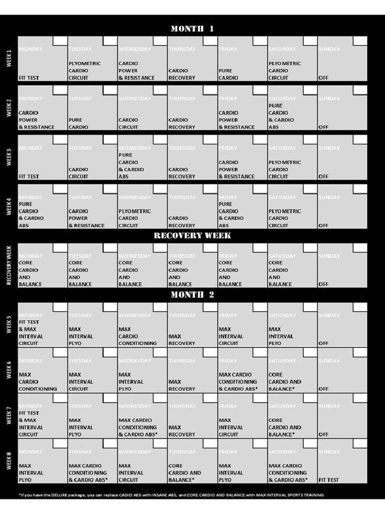 Insanity Calendar | PDF